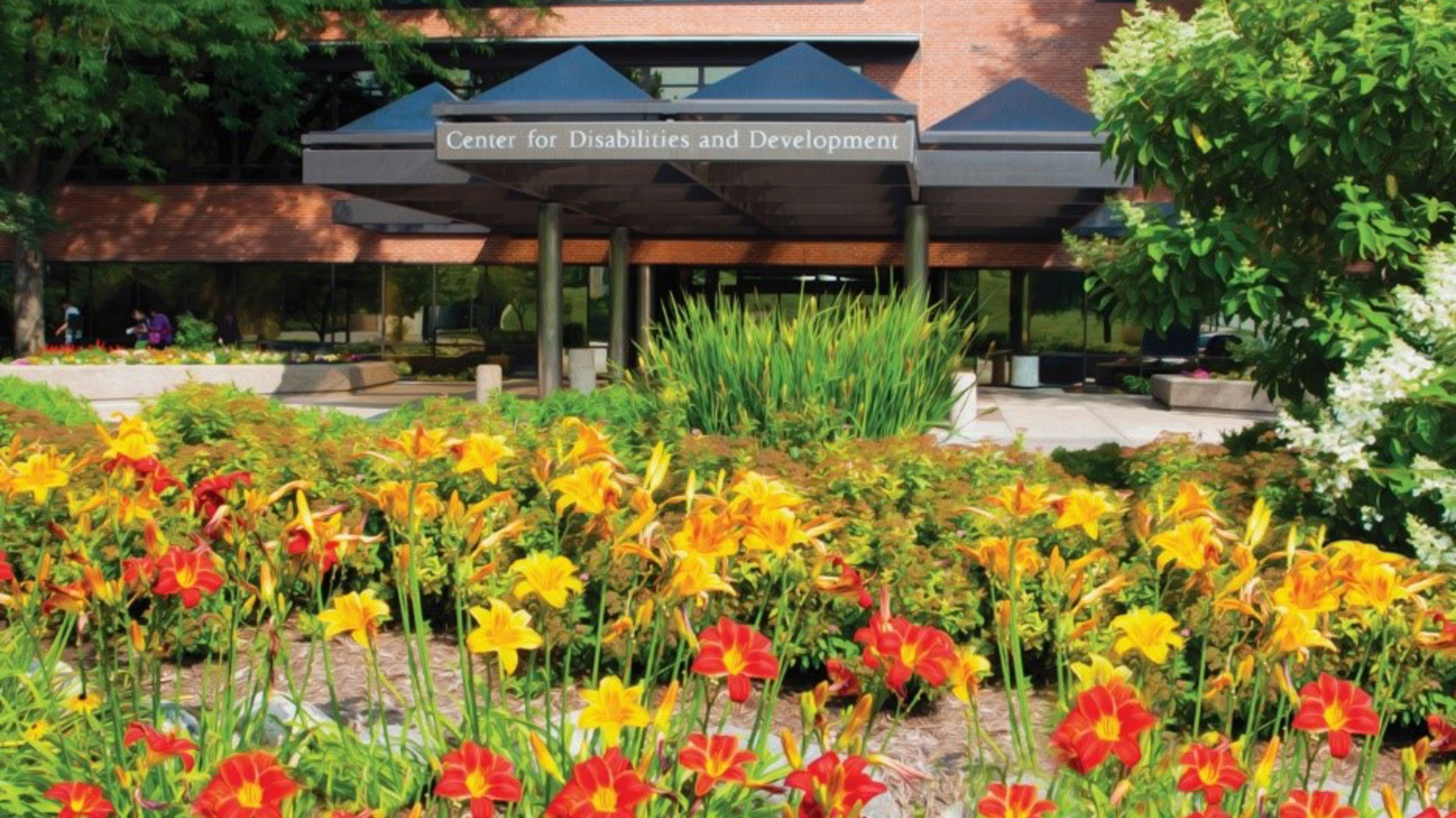 CDD Clinical Services | Center for Disabilities and Development ...